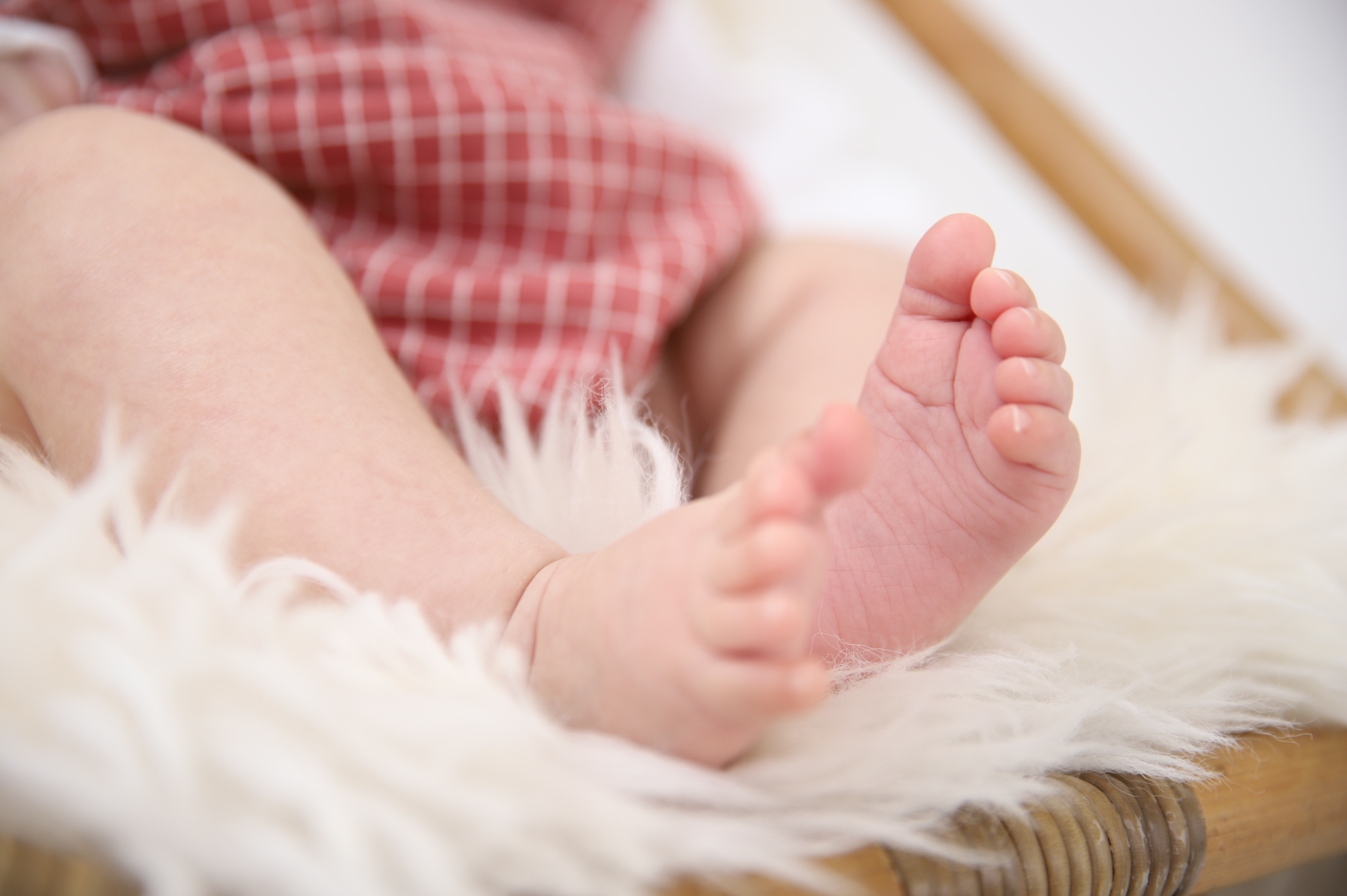 【Palette＋Plus】Plusプランについてのご紹介！！【札幌西店】｜Palette+plus札幌西店